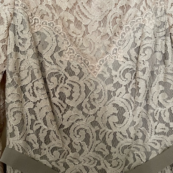 Tadashi Shoji | Dresses | 2 Tone Floral Lace Scallop Hem Belted Gown ...